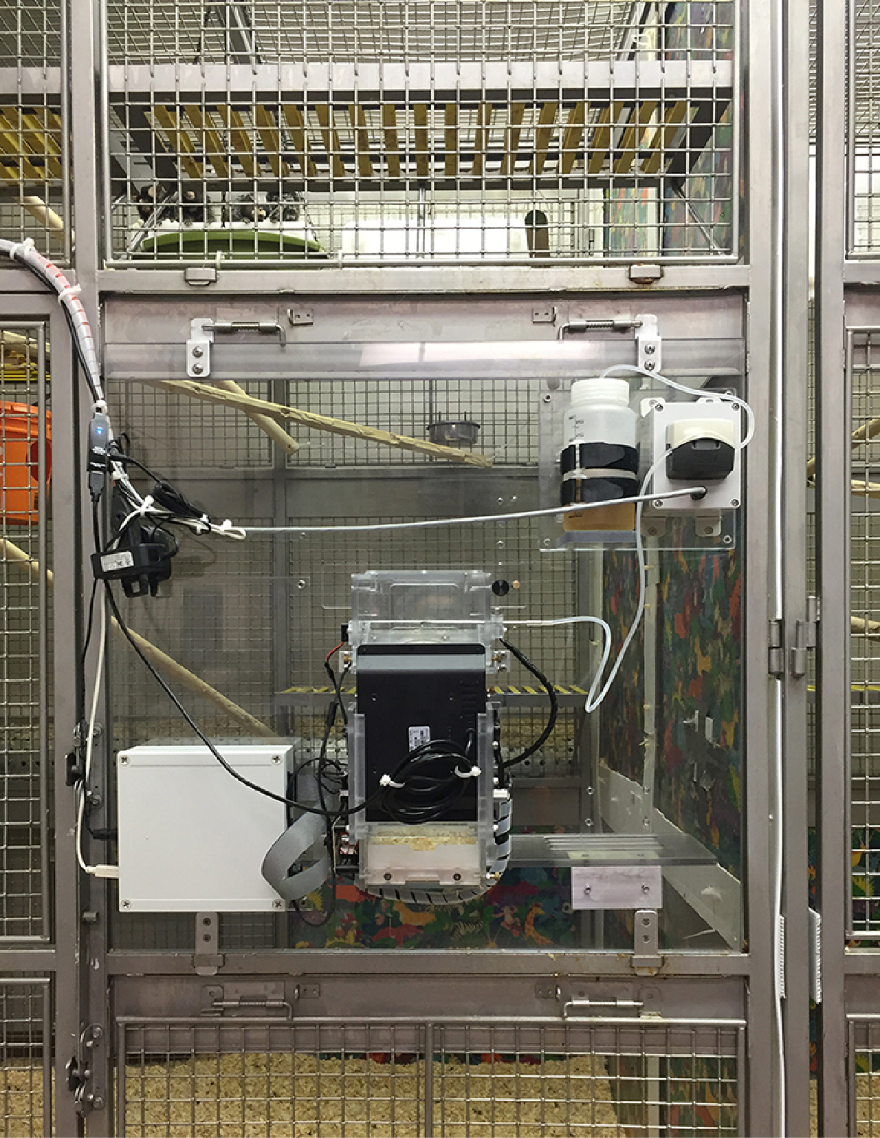 ePhys and fMRI Testing Chairs – Rogue Research