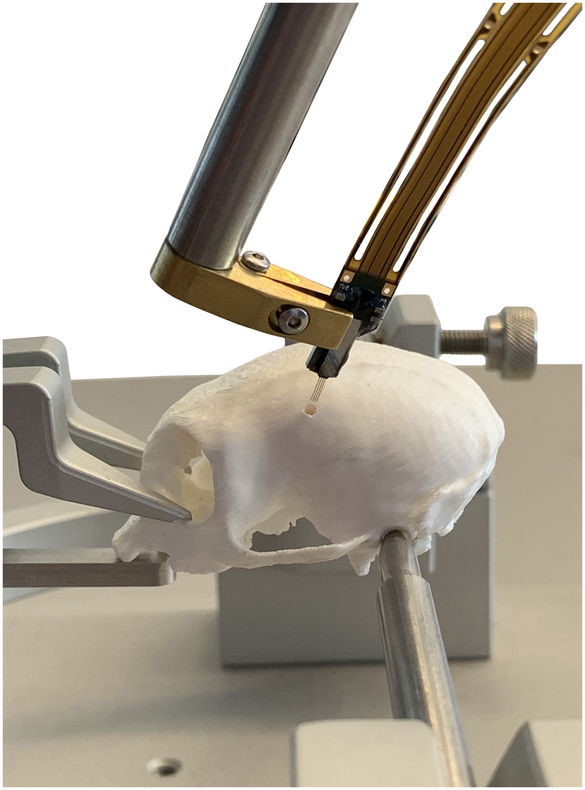 Microsurgical robot – Rogue Research